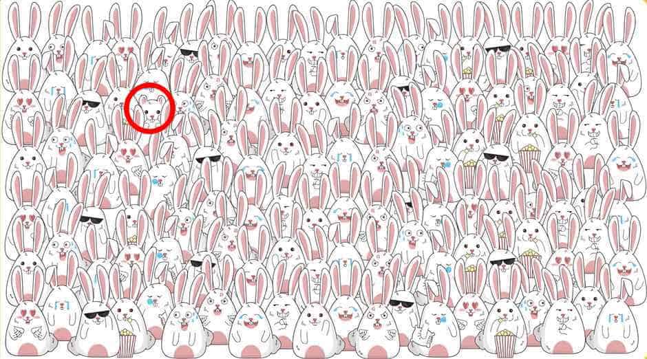 Optical Illusion: Find a hamster among the rabbits in 7 seconds!