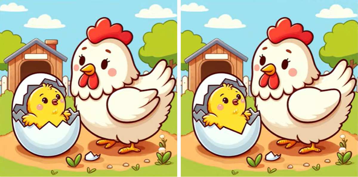 Spot 3 differences between the hen and hatchling pictures within 12 ...