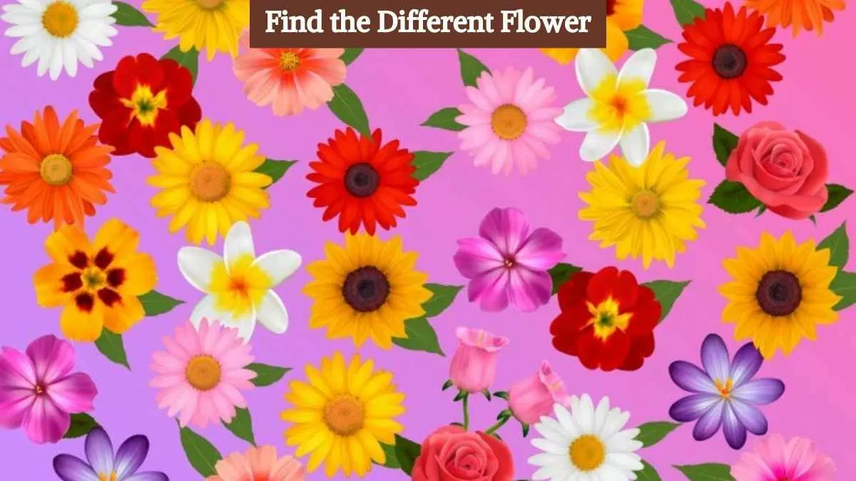 Optical Illusion: Find the different flower in the picture in 6 seconds!