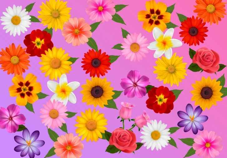 Optical Illusion: Find the different flower in the picture in 6 seconds!