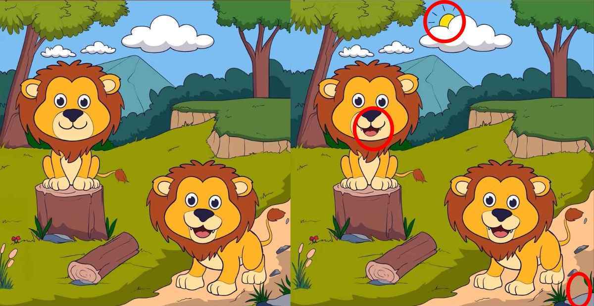 Find 3 differences between the pictures of two lion cubs in 15 seconds!