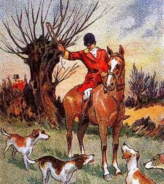 Optical Illusion: Find the hidden fox in the picture in 9 seconds!