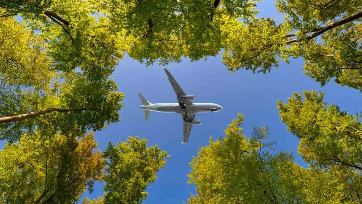 Airport Codes 2024 List City And Country wise With IATA Code Airport Codes 2024 List City And Country wise With IATA Code