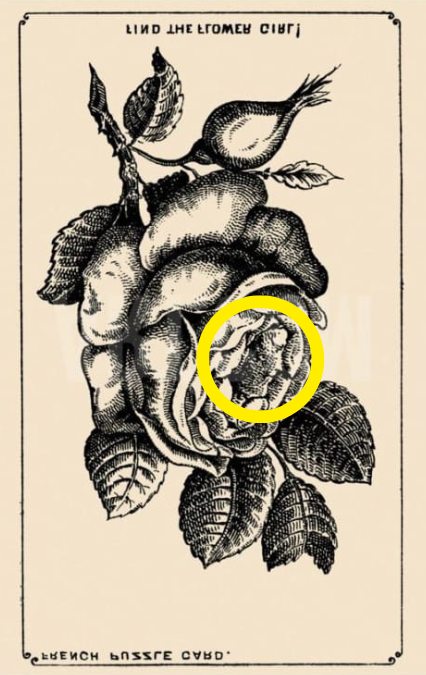 Test your vision by finding the woman hidden in the rose within 6 seconds.