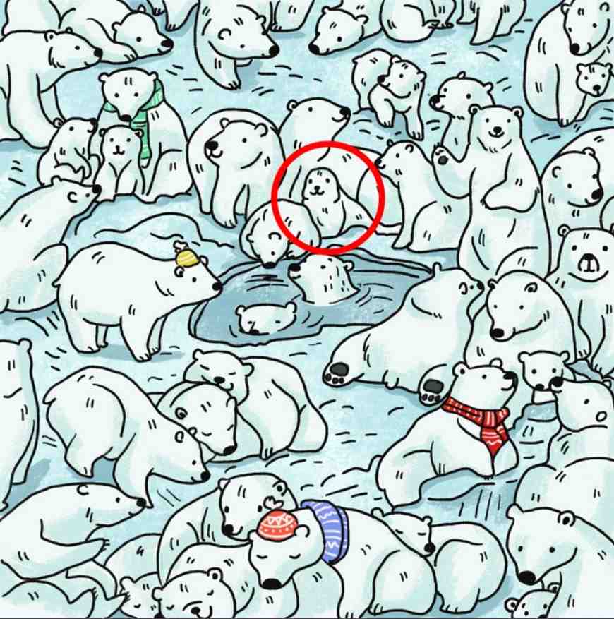 You have great eyesight if you can find the seal hidden among polar ...