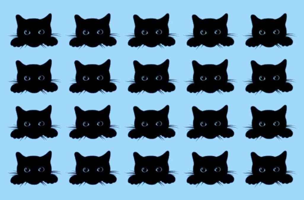 Optical Illusion: Find the different cat in the picture in 5 seconds!