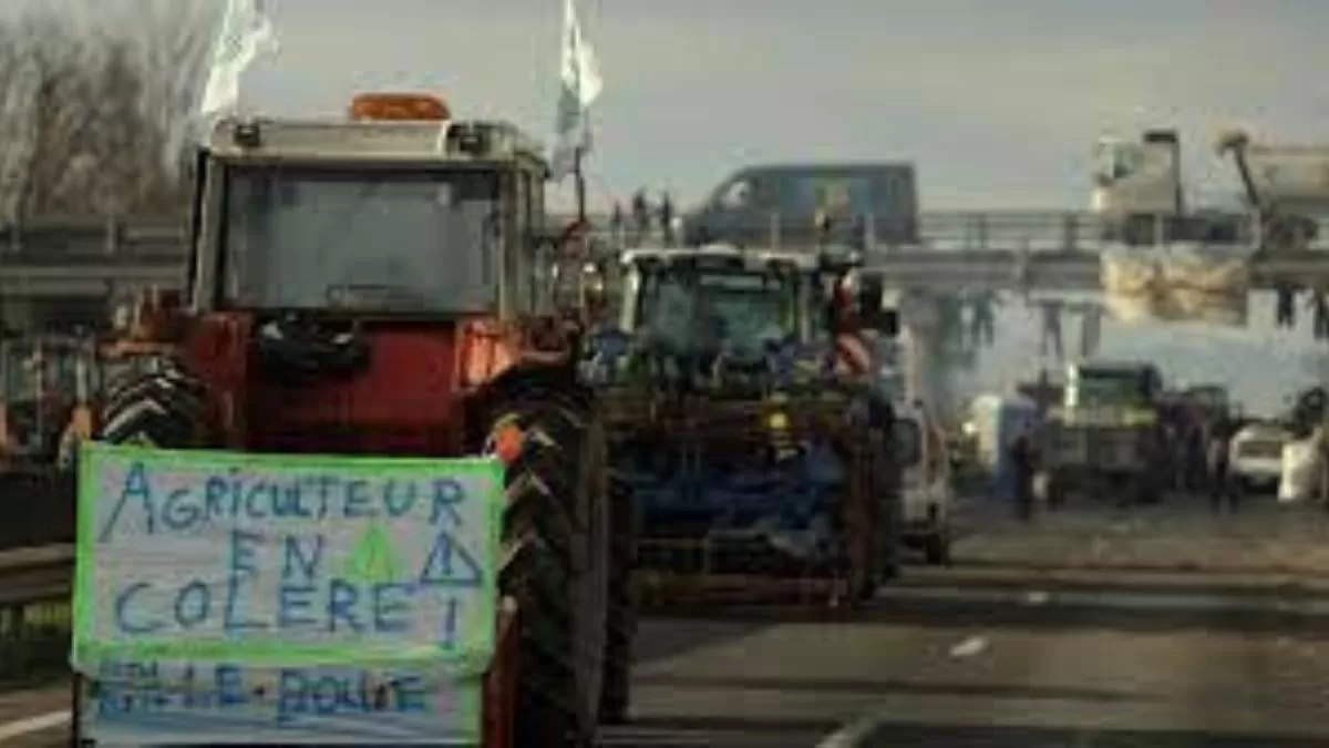 French farmers protest: What are the top reasons? French farmers protest: What are the top reasons?