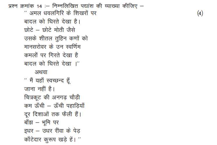 CGBSE 10th Hindi Specific Model Paper 2024: Download CG Board Class 10 Hindi Specific Sample ...