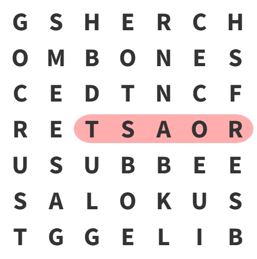 Word Search Puzzle: Find the word 'roast' in 9 seconds!