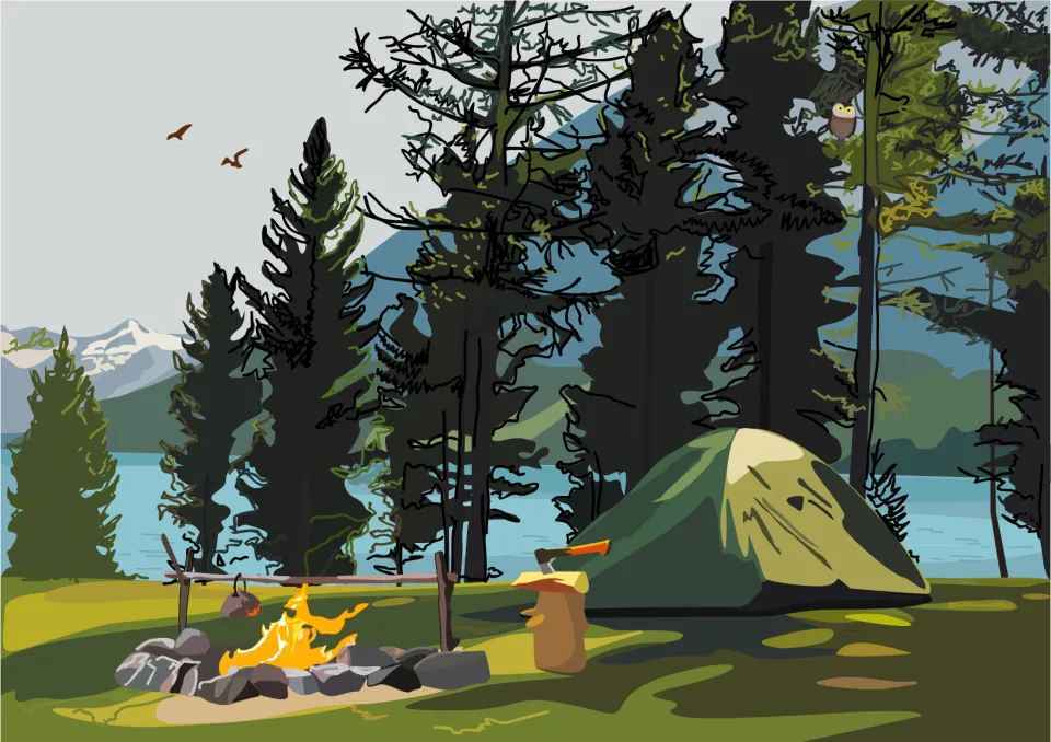 You have 20/20 vision if you can find the owl in the camp scene in 9 ...