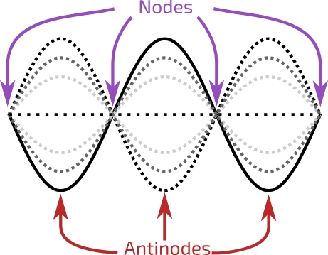 Types of Waves in Physics