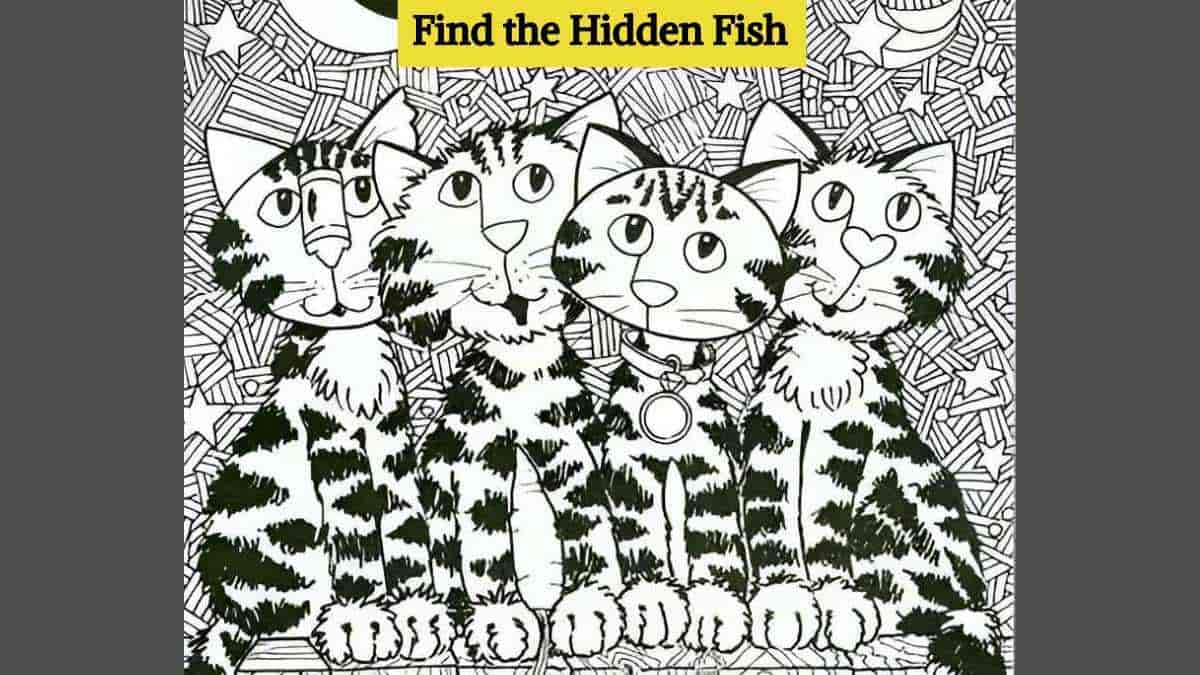 Optical Illusion IQ Test: You have HD eyes if you can find the hidden ... Optical Illusion IQ Test: You have HD eyes if you can find the hidden ...