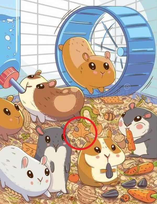 Tes IQ: Uji Ketangkasan Mata dengan Cari Daun di Kandang Hamster Tes IQ: Uji Ketangkasan Mata dengan Cari Daun di Kandang Hamster