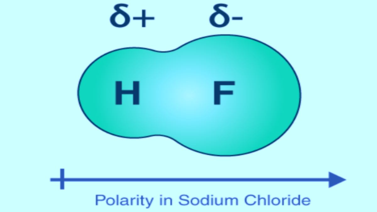 Polarity Meaning - Definition & Example, Polar Vs Non-Polar Molecules ...