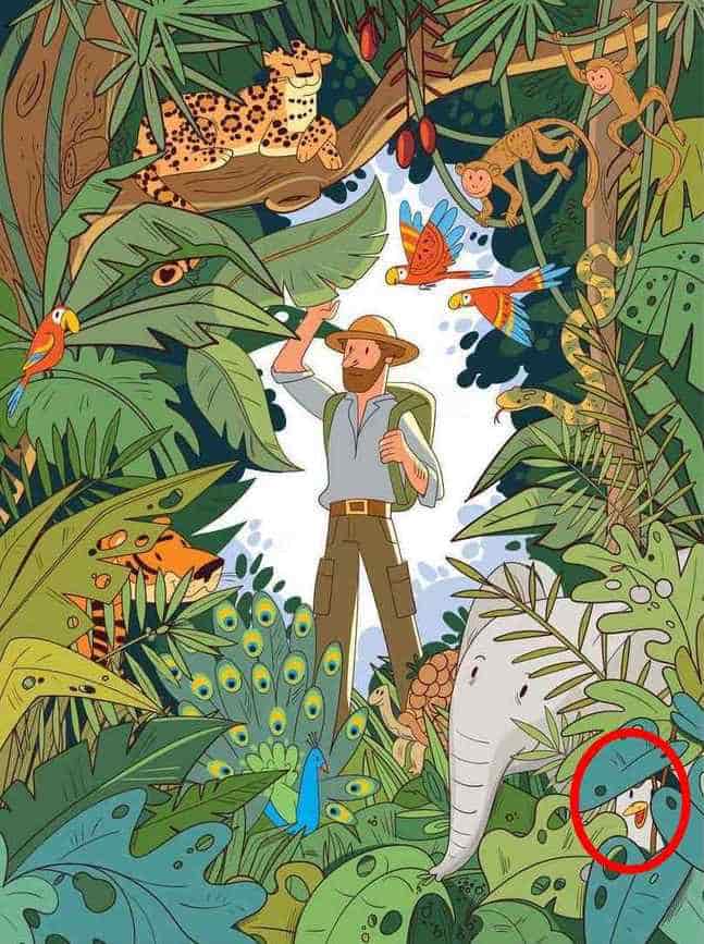 Optical Illusion to Test IQ: Find the penguin in the jungle in 4 seconds!