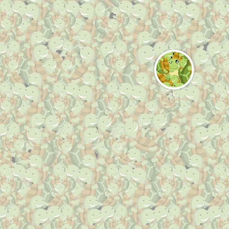 You Need Razor Sharp Vision To Find The Toad Hidden Among Turtles ...