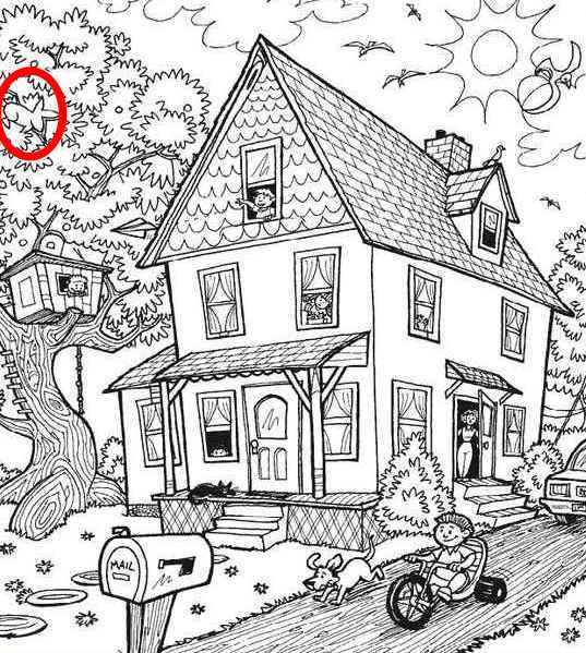 Seek and Find: Test your eye power by finding a rabbit in the picture ...