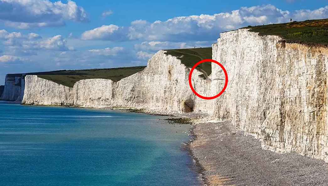 Optical Illusion Eye Test: Find the bird in the picture in 4 seconds!