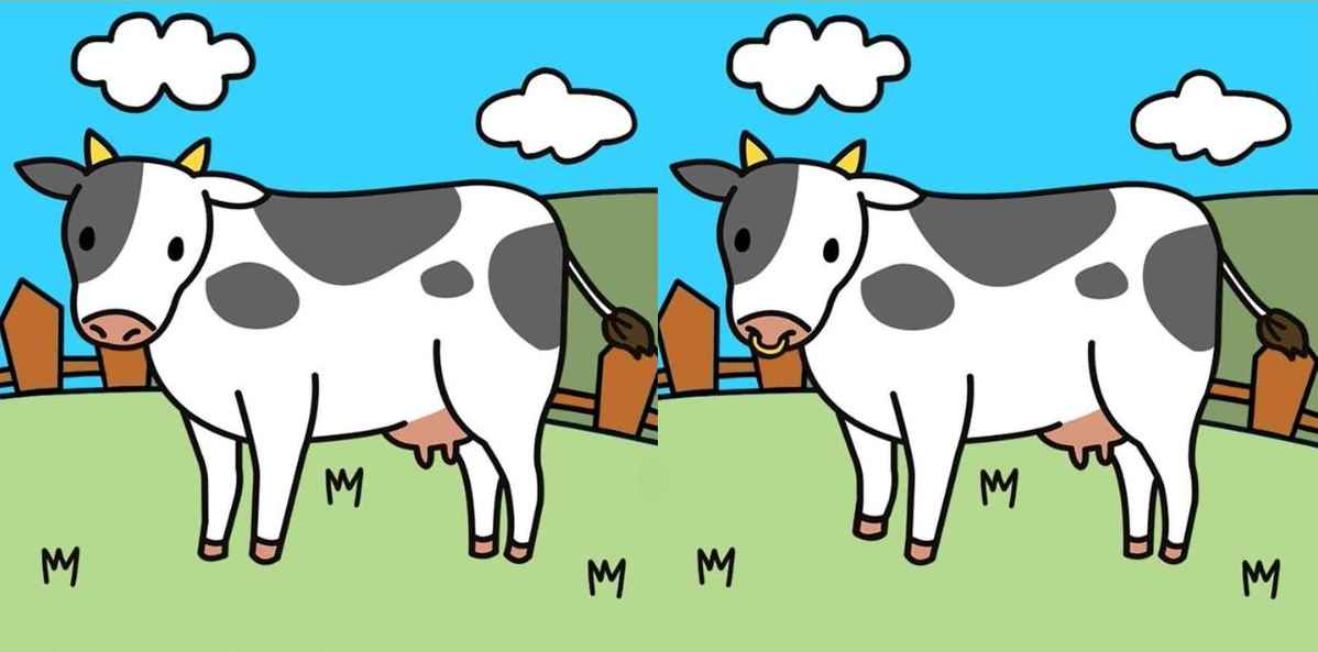 Find 5 differences between the cow grazing pictures in 15 seconds!