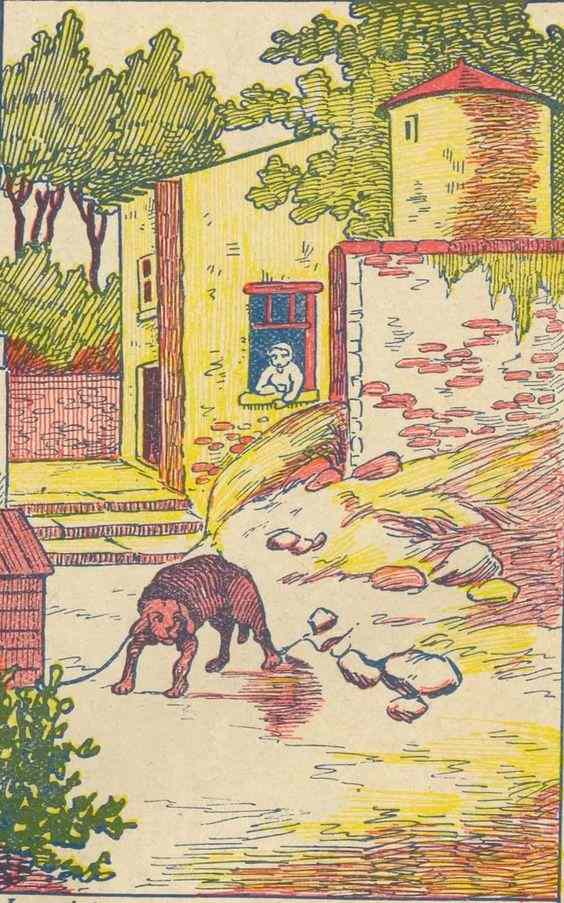 Only attentive people can find the thief in the yard within 6 seconds.