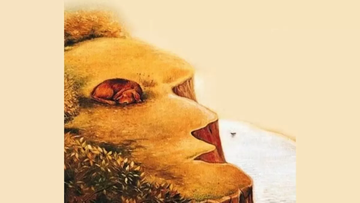 Illusion Personality Test What You See First Reveals How You Prefer To