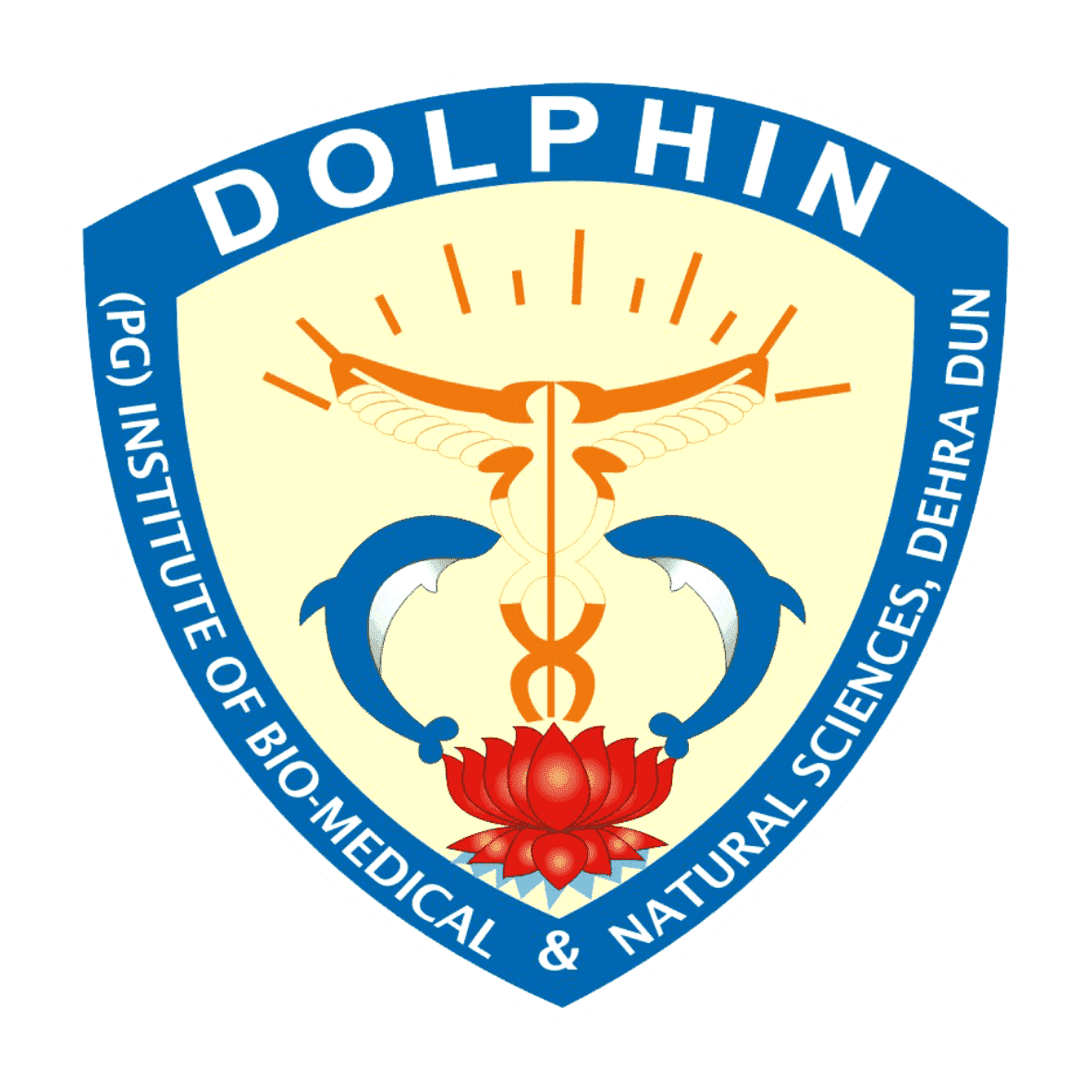 Top B.Sc Colleges in India 2024 - Ranking, Placements, Courses ...