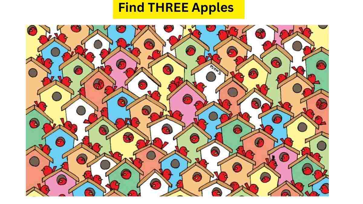 Vision IQ Test: Only A Person With Night Owl Vision Can Find Three Red ... Vision IQ Test: Only A Person With Night Owl Vision Can Find Three Red ...