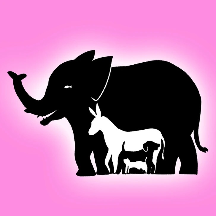 Seek and Find: You have high visual IQ if you can spot 9 animals in ...