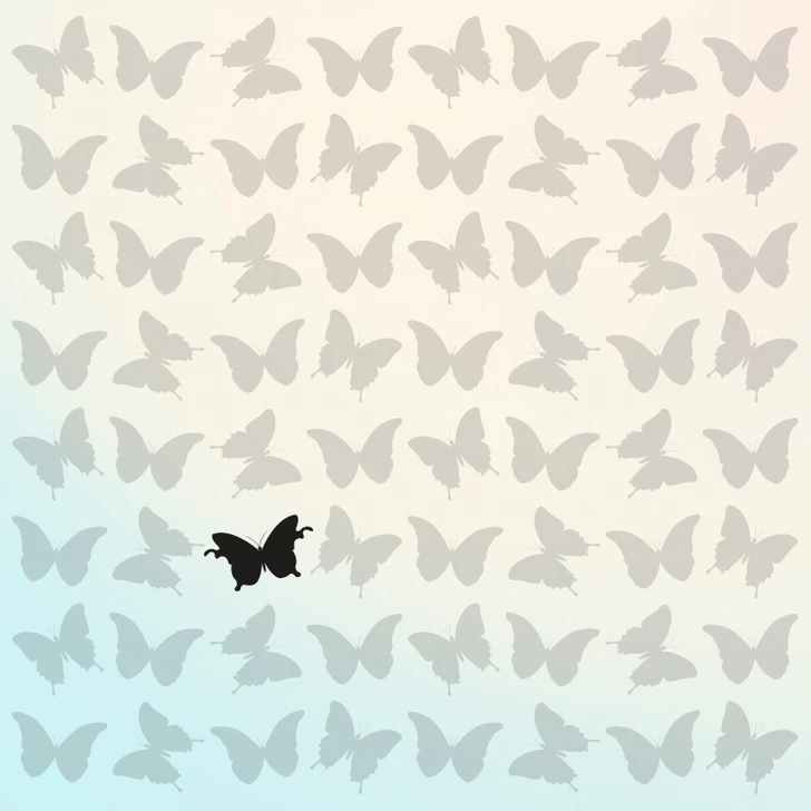 Spot The Odd Butterfly Hidden In The Picture Within 3 Seconds To Test ...