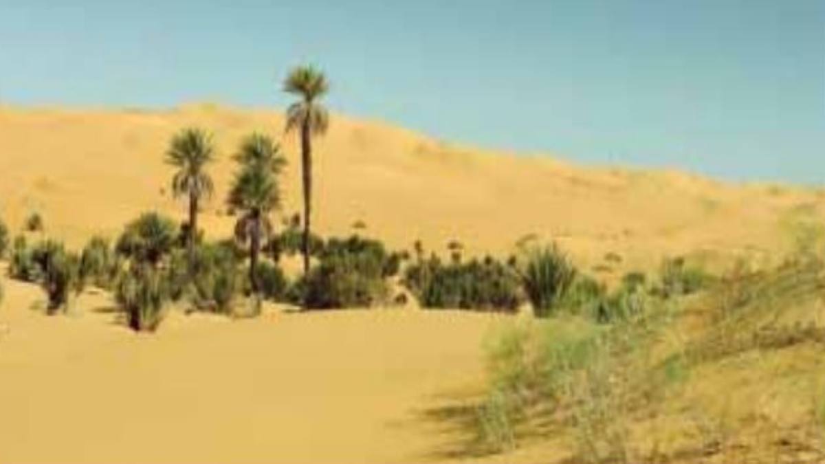Sahara Desert: Definition, Location, Area, Climate And More