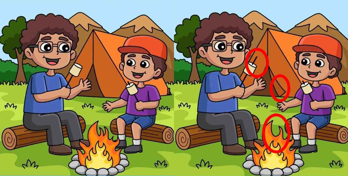 Find 3 differences between the camping scene in 16 seconds!