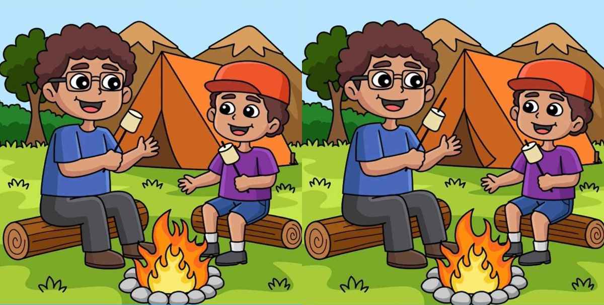 Find 3 differences between the camping scene in 16 seconds!