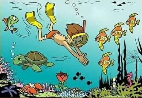 Brain Teaser: Think You See It All? Try to Find the Mistakes Hidden in ...