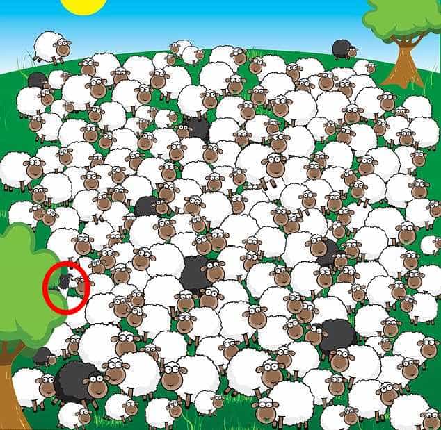 Brain Teaser IQ Test: Find the Dog Among the Herd of Sheep in 5 Seconds!
