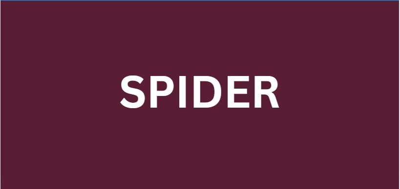 IQ Test: Find the hidden word in the anagram in 5 seconds!