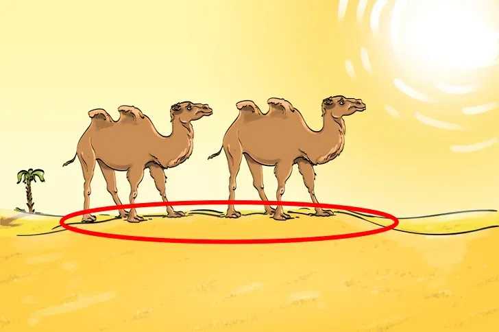 Picture Puzzle IQ Test: Can you find what’s missing in the picture in 6 ...