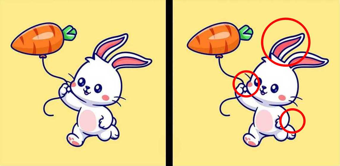 Spot 3 differences between the running rabbit pictures in just 21 seconds!