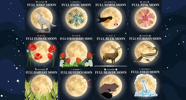 From New Moon to Full Moon: Understanding the 8 Moon Phases