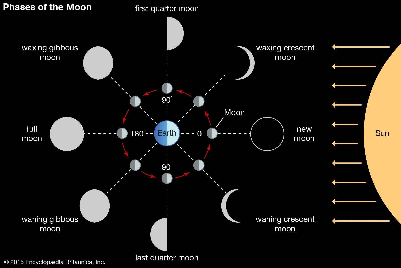From New Moon to Full Moon: Understanding the 8 Moon Phases