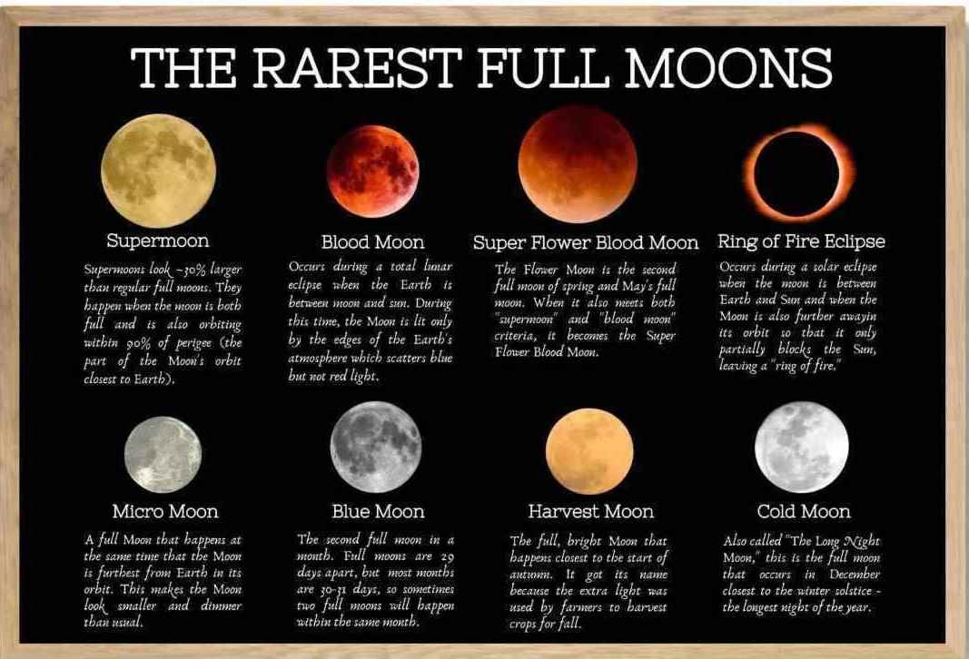 From New Moon to Full Moon: Understanding the 8 Moon Phases