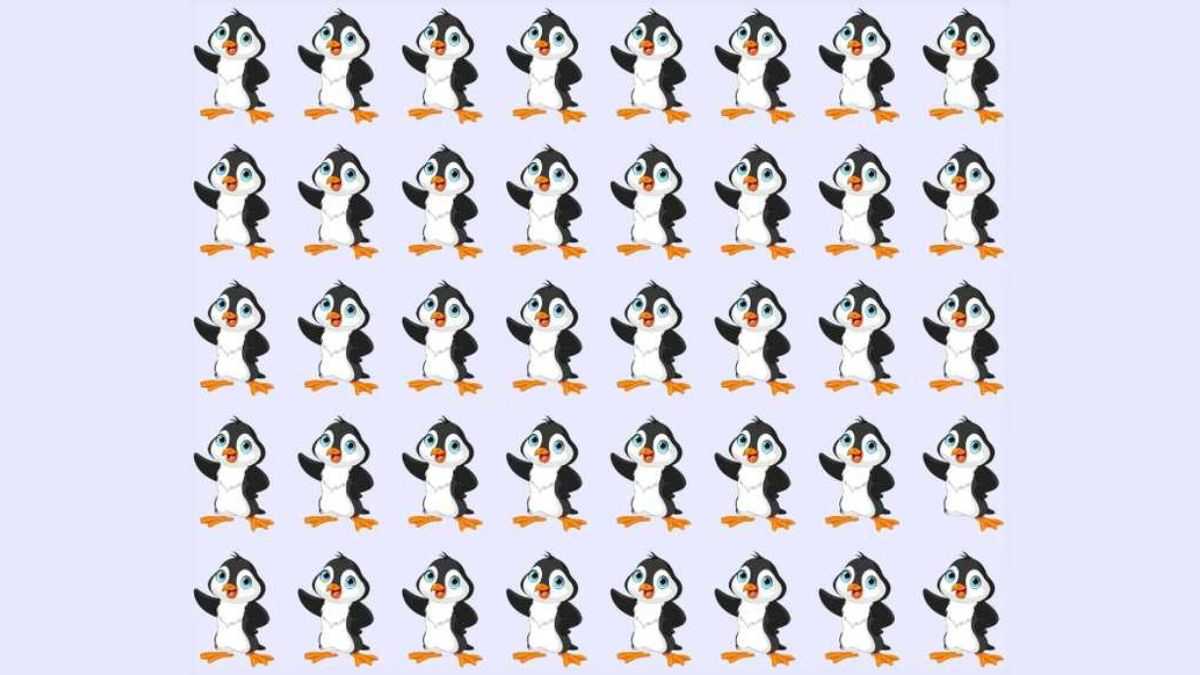 Visual Skill Test: Find the odd penguin in the picture in 5 seconds!