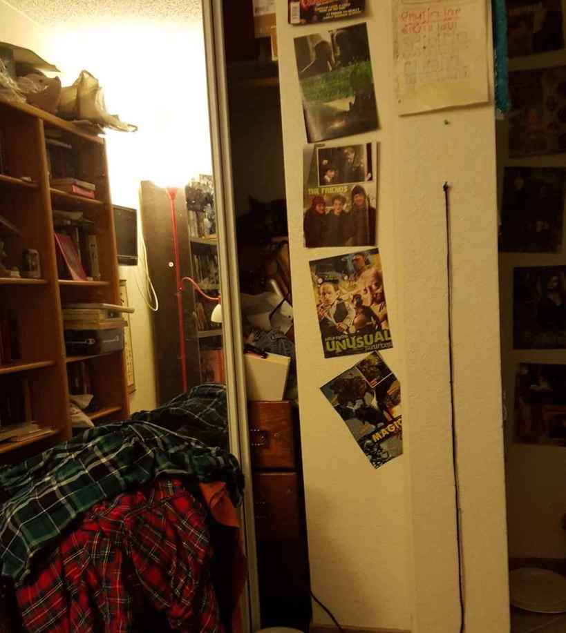 Optical Illusion to Test Your IQ: Find the hidden cat in 6 seconds!