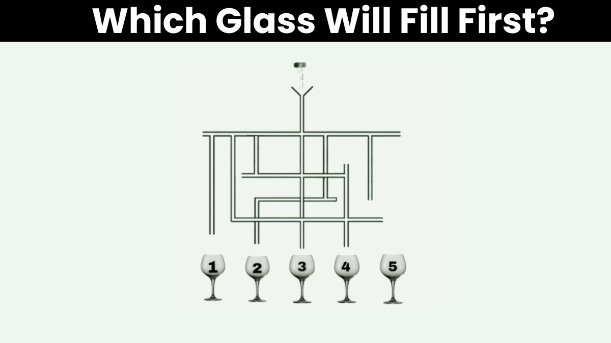 Brain Teaser: Which Glass Will Fill First? Only Top 1% Geniuses Pass ...