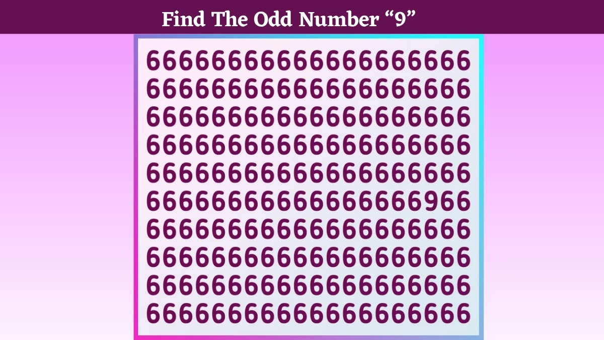 Can You Detect The Odd Number 9 Among The Series Of 6 Using Your Hawk ...