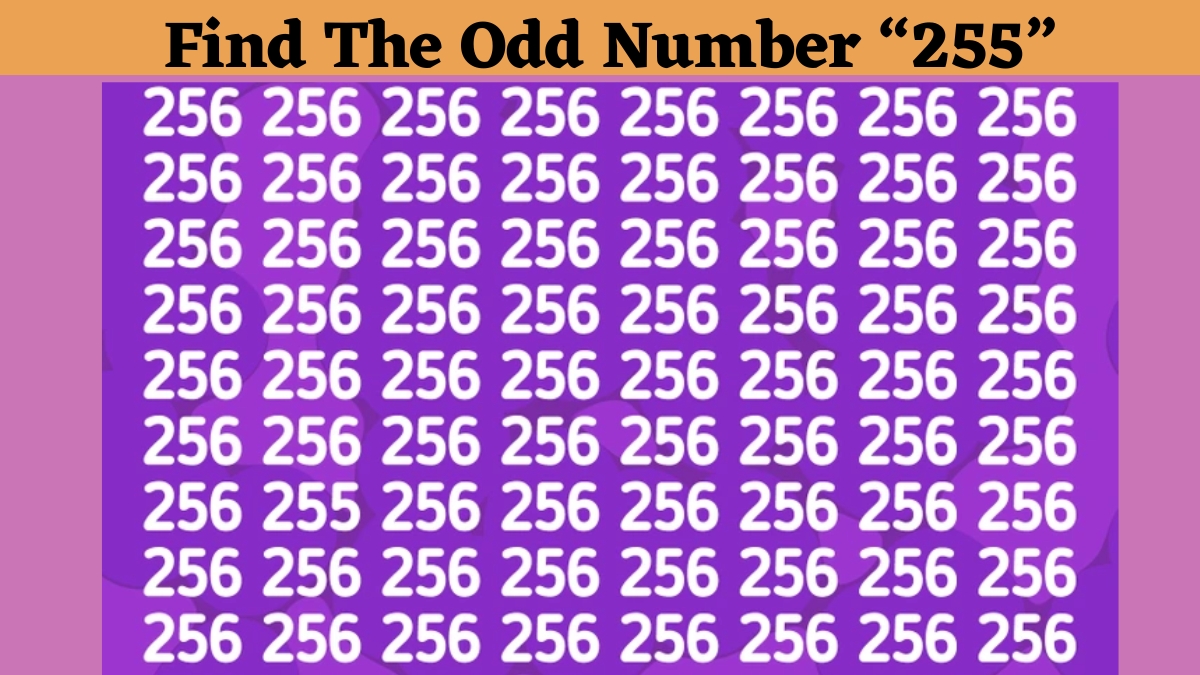 If You Possess 160+ IQ level, Then Find the Odd Number '255' Among The ...