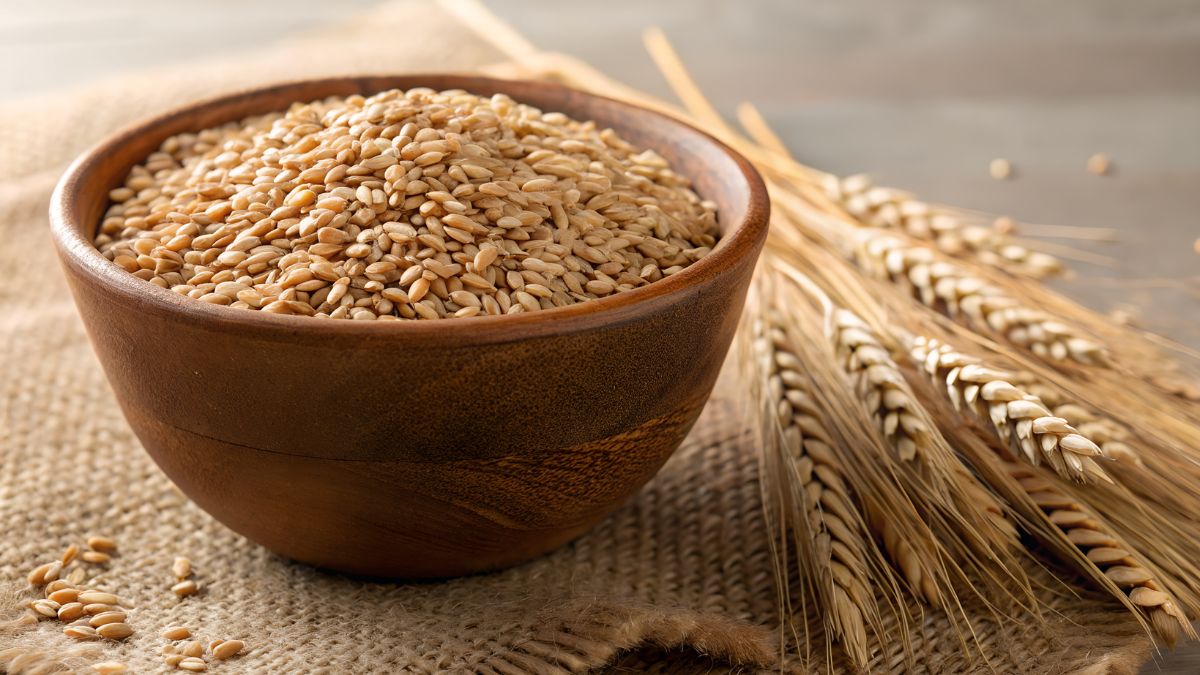 Which Crop Is Known as the King of Cereals?