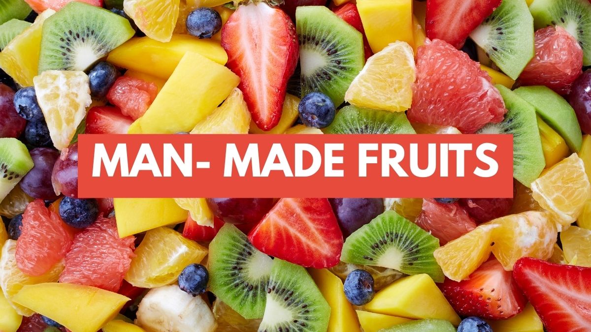 List of Man-Made Fruits