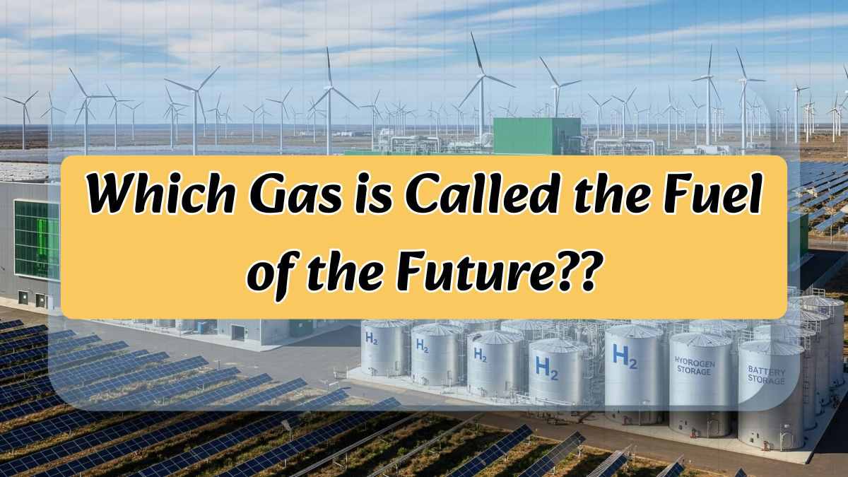 Which Discovery Is Called the God Particle? Students Decode the Higgs ...