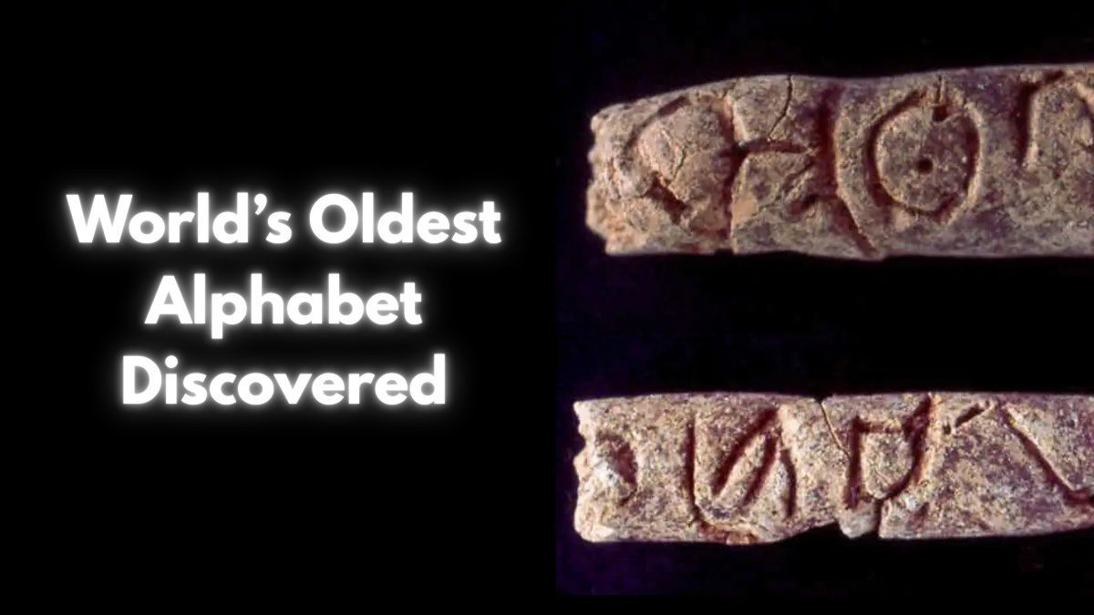What is the Oldest Alphabet in the World? Check Historians Discovery!