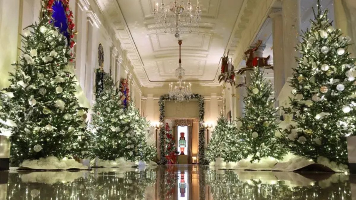 White House Christmas Tree 2025: Check History, Origin & National Tree Decorations!